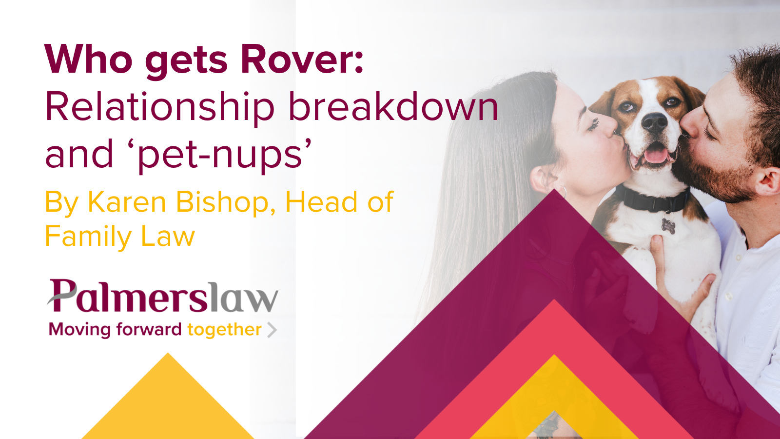 Who gets Rover: Relationship breakdown and ‘pet-nups’ - Palmers Solicitors